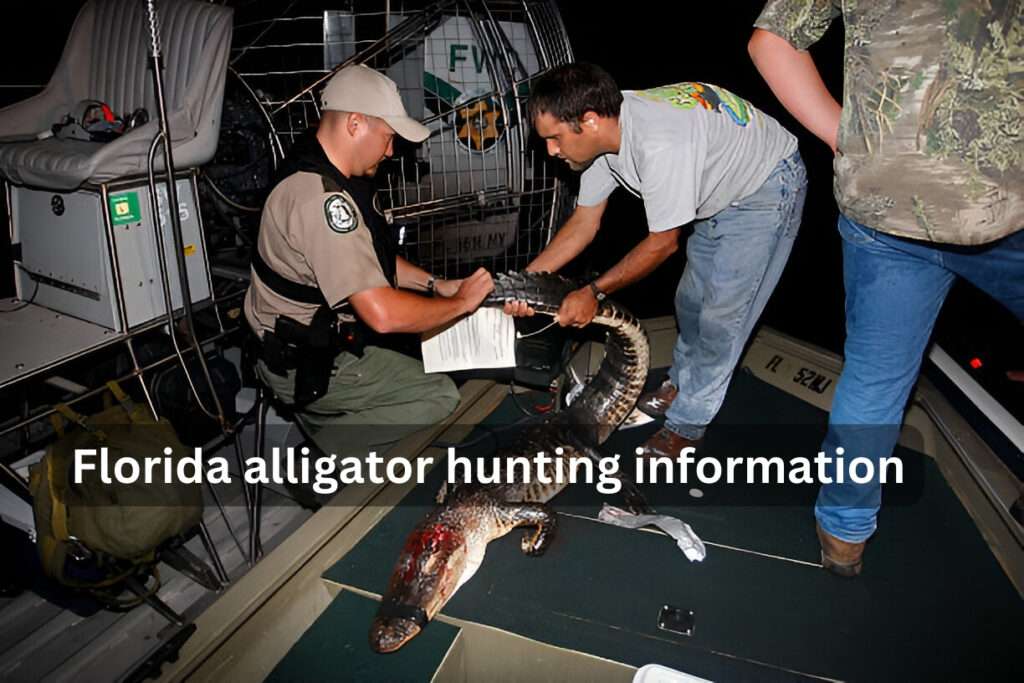 Alligator Hunting & Protection Backwoods Airboat Adventures